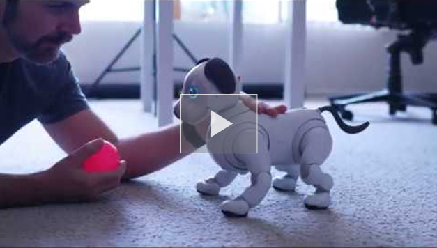 Science to Share | If you look at a beetle long enough, you will ...