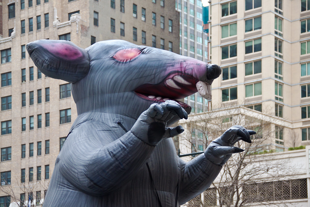 Science to Share | New neighbors in the concrete jungle