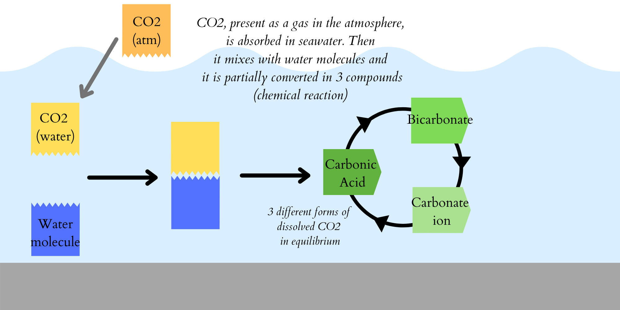 Science to Share | Seashells inspire a CO2 storage solution