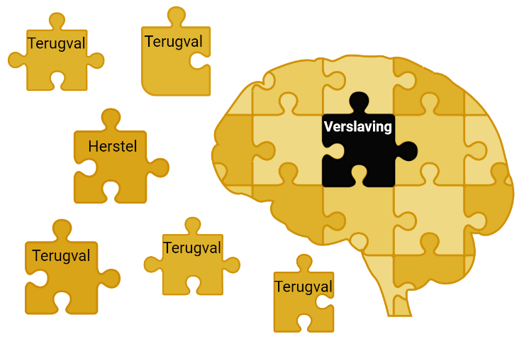 Science to Share | Verslaving is nog steeds een hersenziekte!