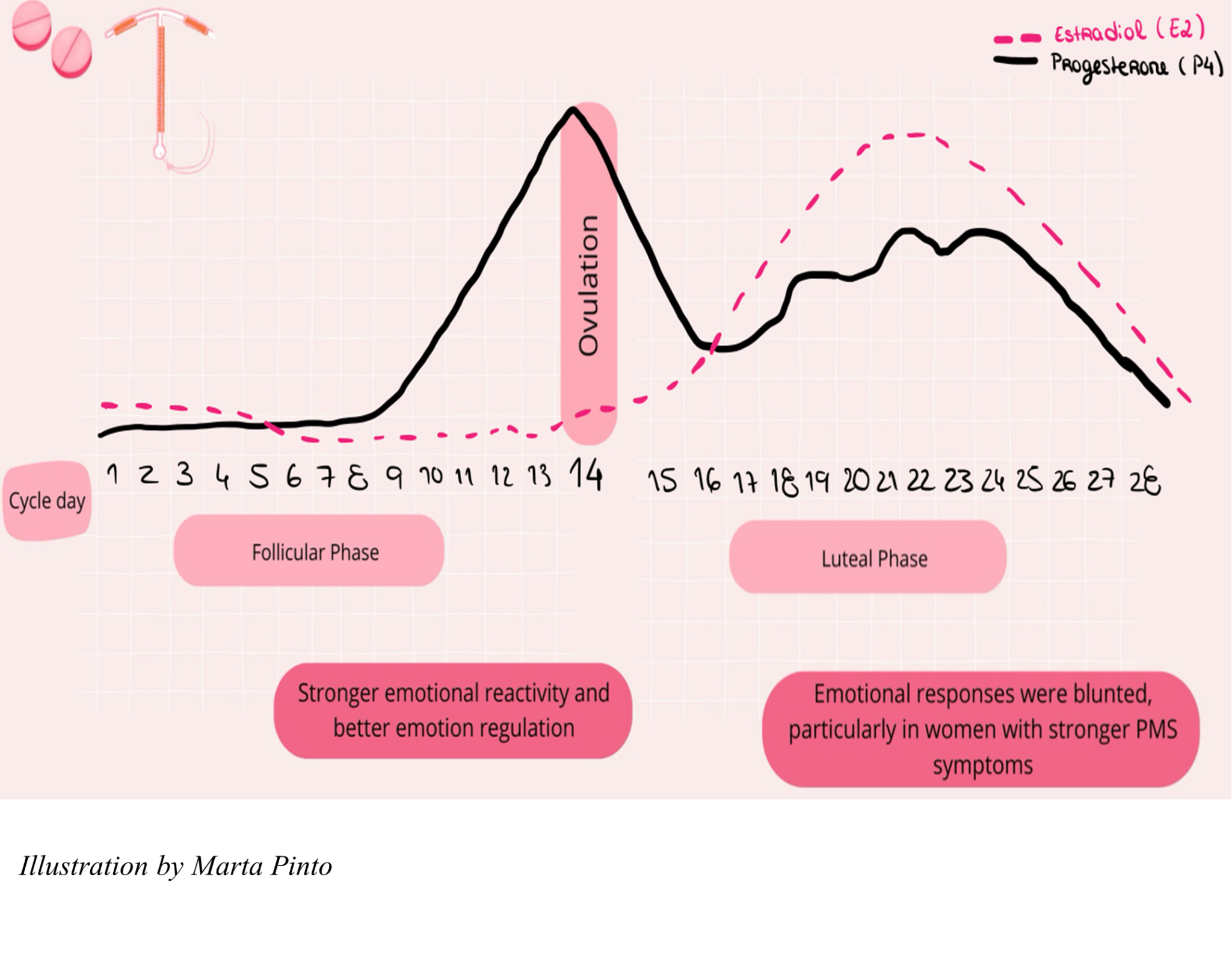 Science to Share | The Birth Control Blues: How The Pill Shapes Your ...